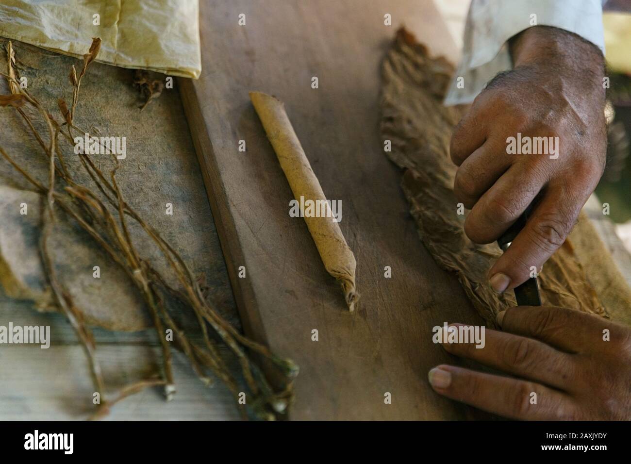Cigar making table hi-res stock photography and images - Alamy