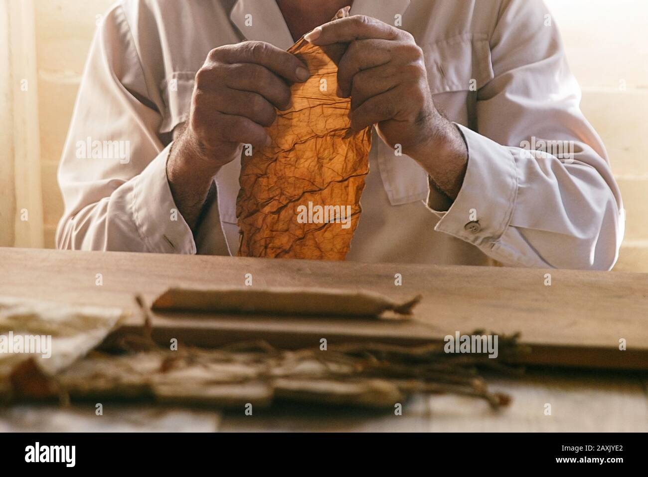 Cigar making table hi-res stock photography and images - Alamy