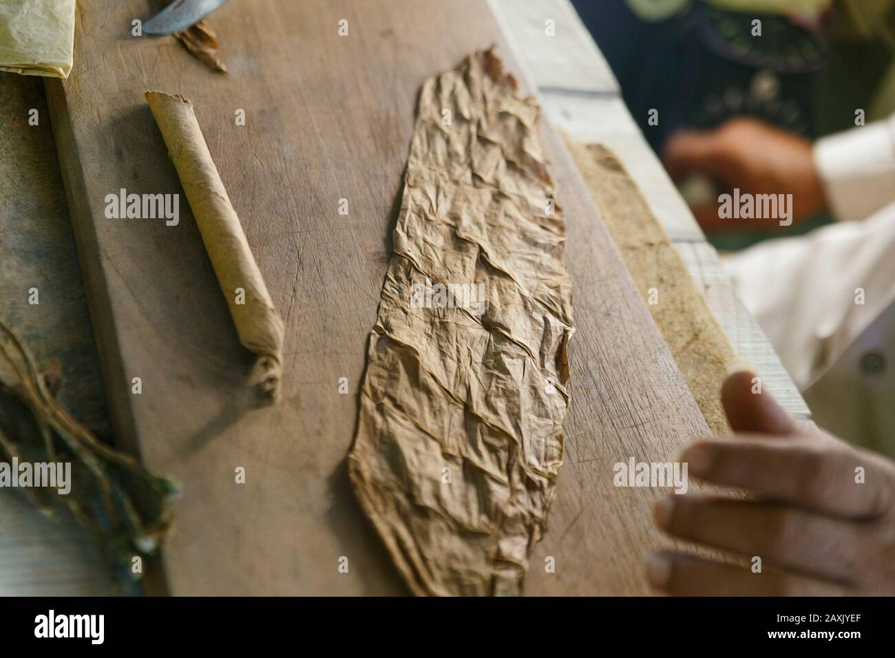 handmade cigar making, cuba Stock Photo - Alamy