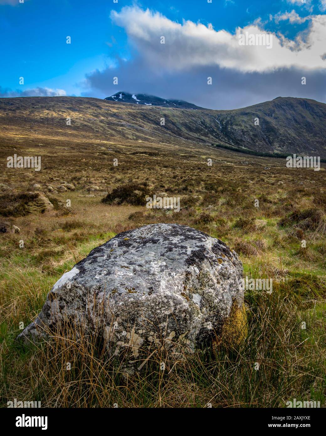 Grassy moorland hi-res stock photography and images - Alamy