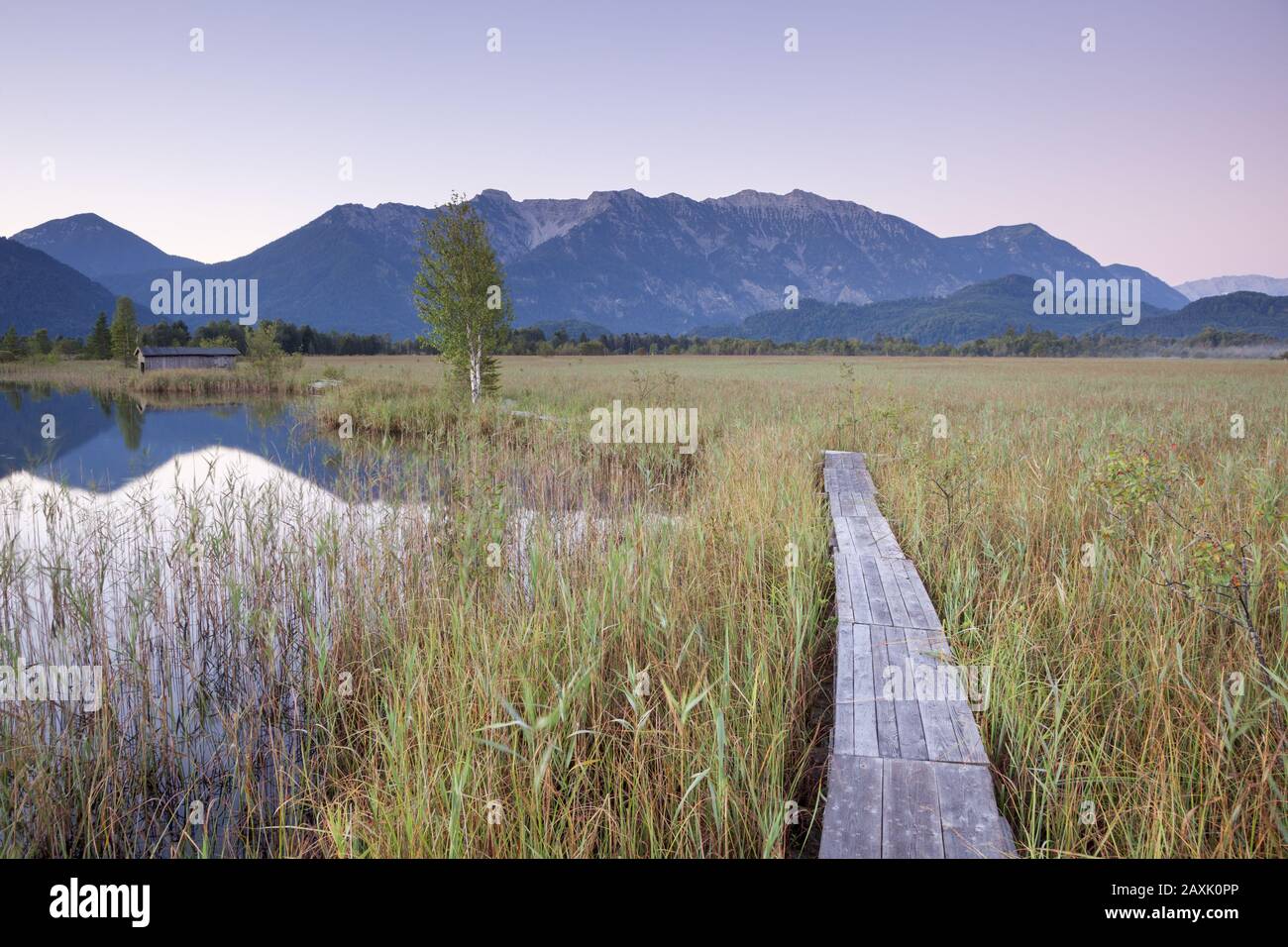 Path in moss 'Murnauer Moos' between Eschenlohe and Murnau, Upper ...