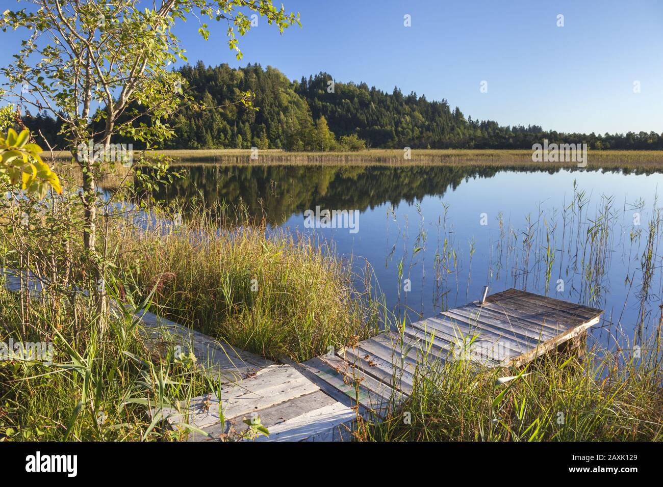 Lake in murnauer moos between eschenlohe and murnau hi-res stock ...