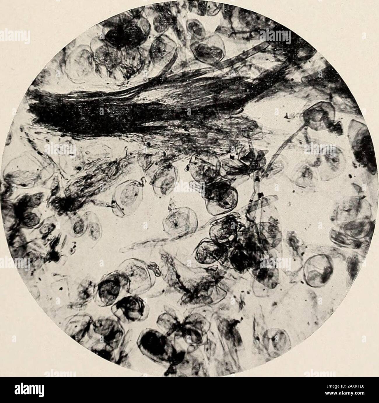 Chemistry dept hi-res stock photography and images - Alamy