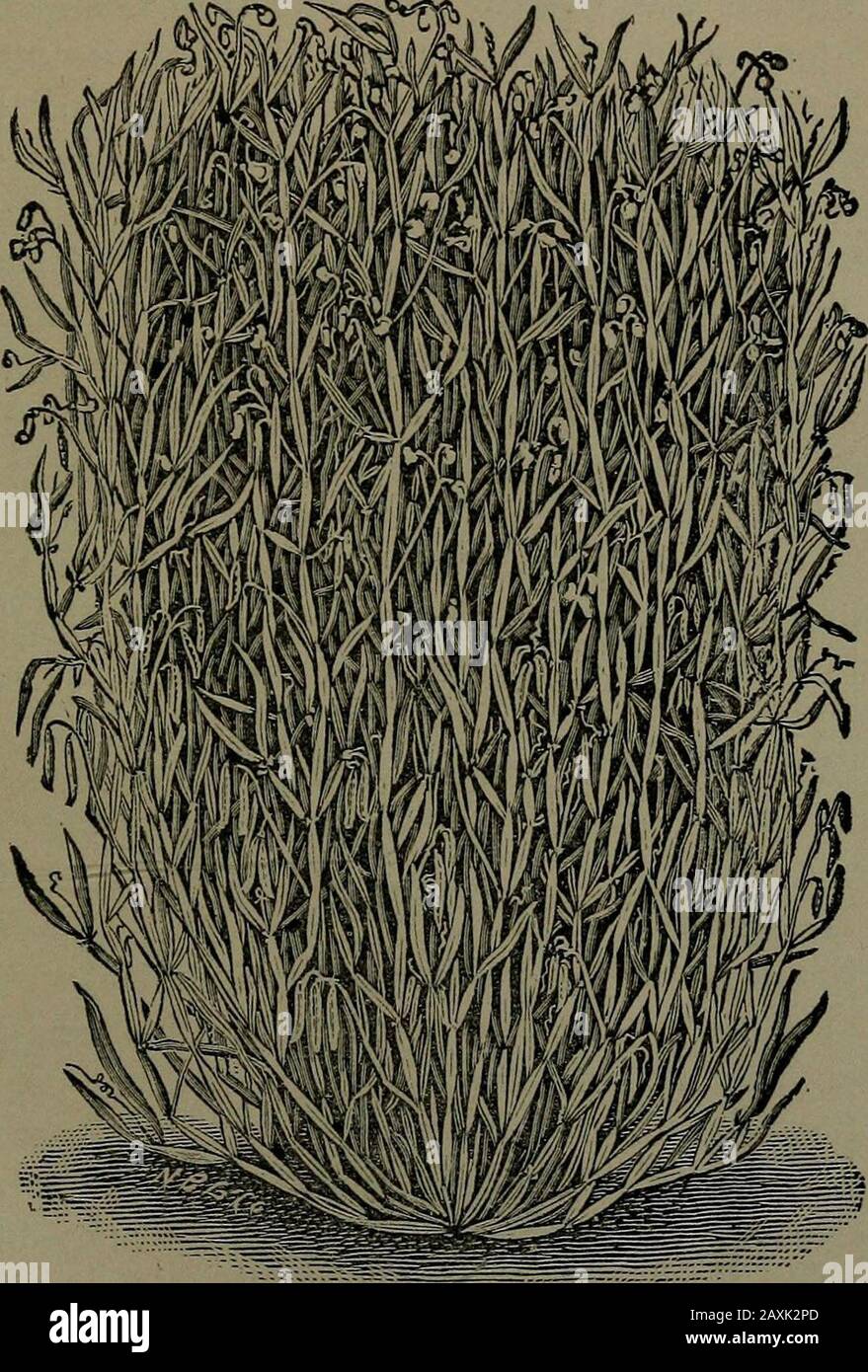 Hay binder hi-res stock photography and images - Alamy