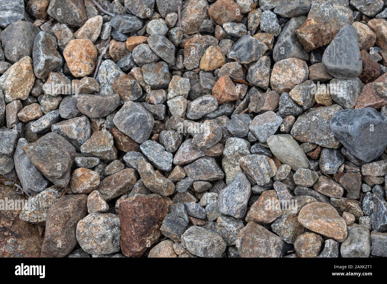 Grey granite stones on natural northern seashore. Close up gray rocks ...