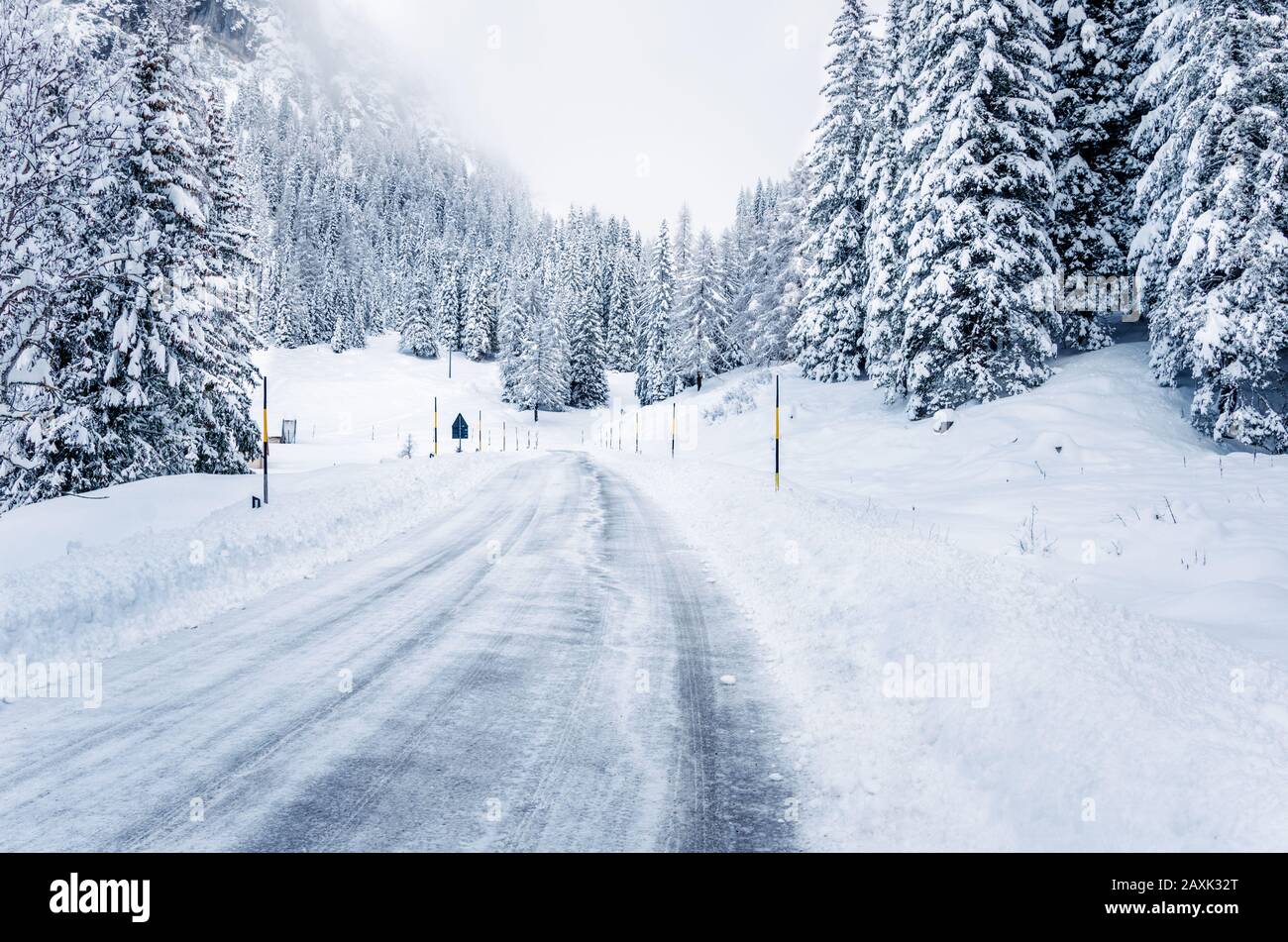 Road in icy forest hi-res stock photography and images - Alamy