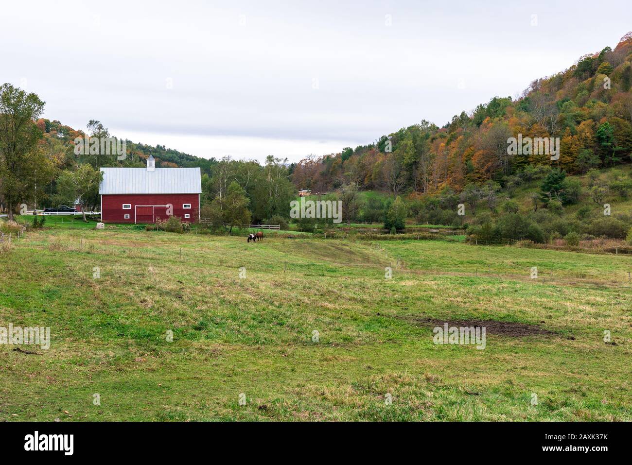 Fall foliage horse farm in hi-res stock photography and images - Alamy