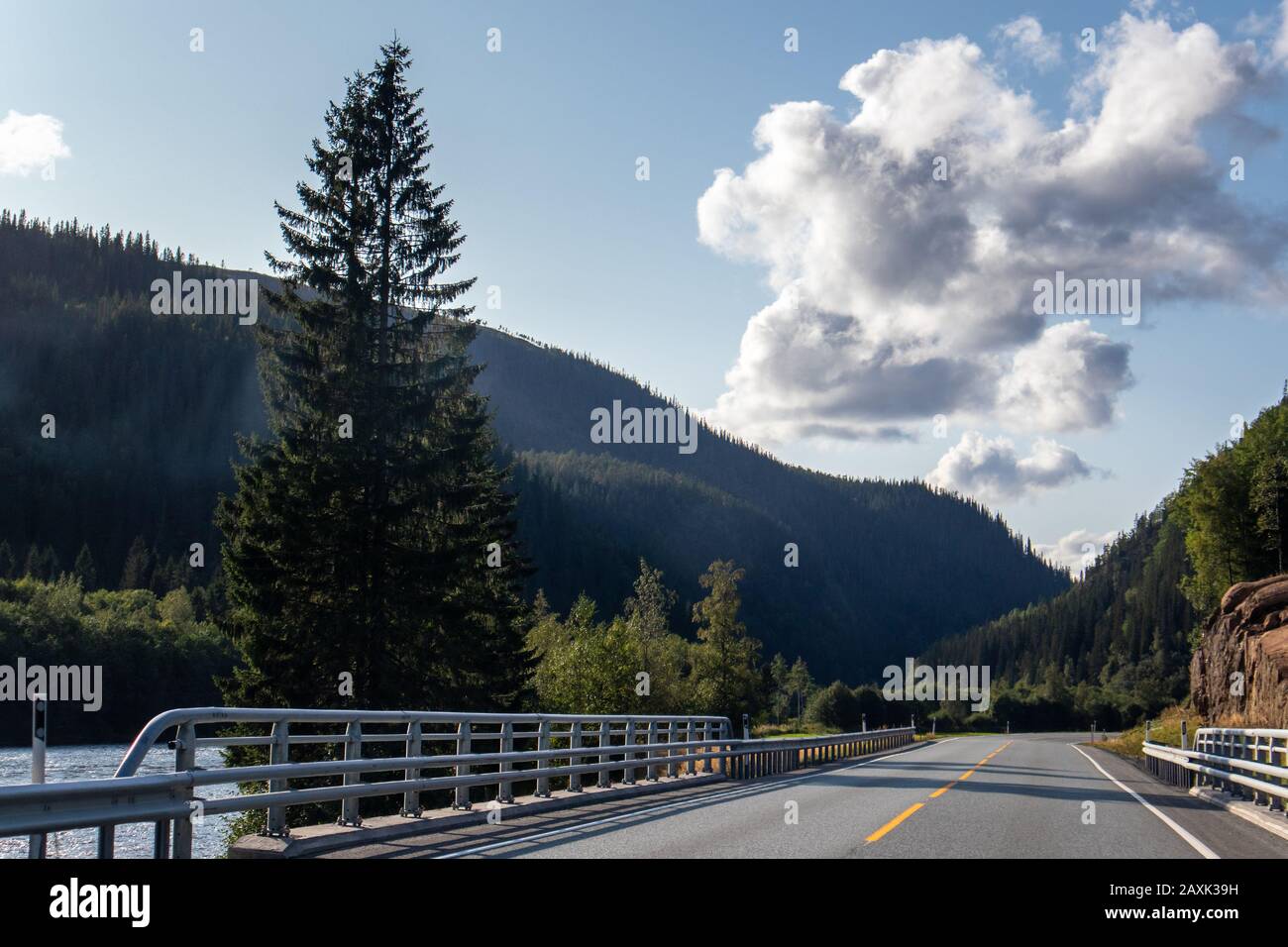Sunny scandinavia day road travel. Swedish natural landscape with ...