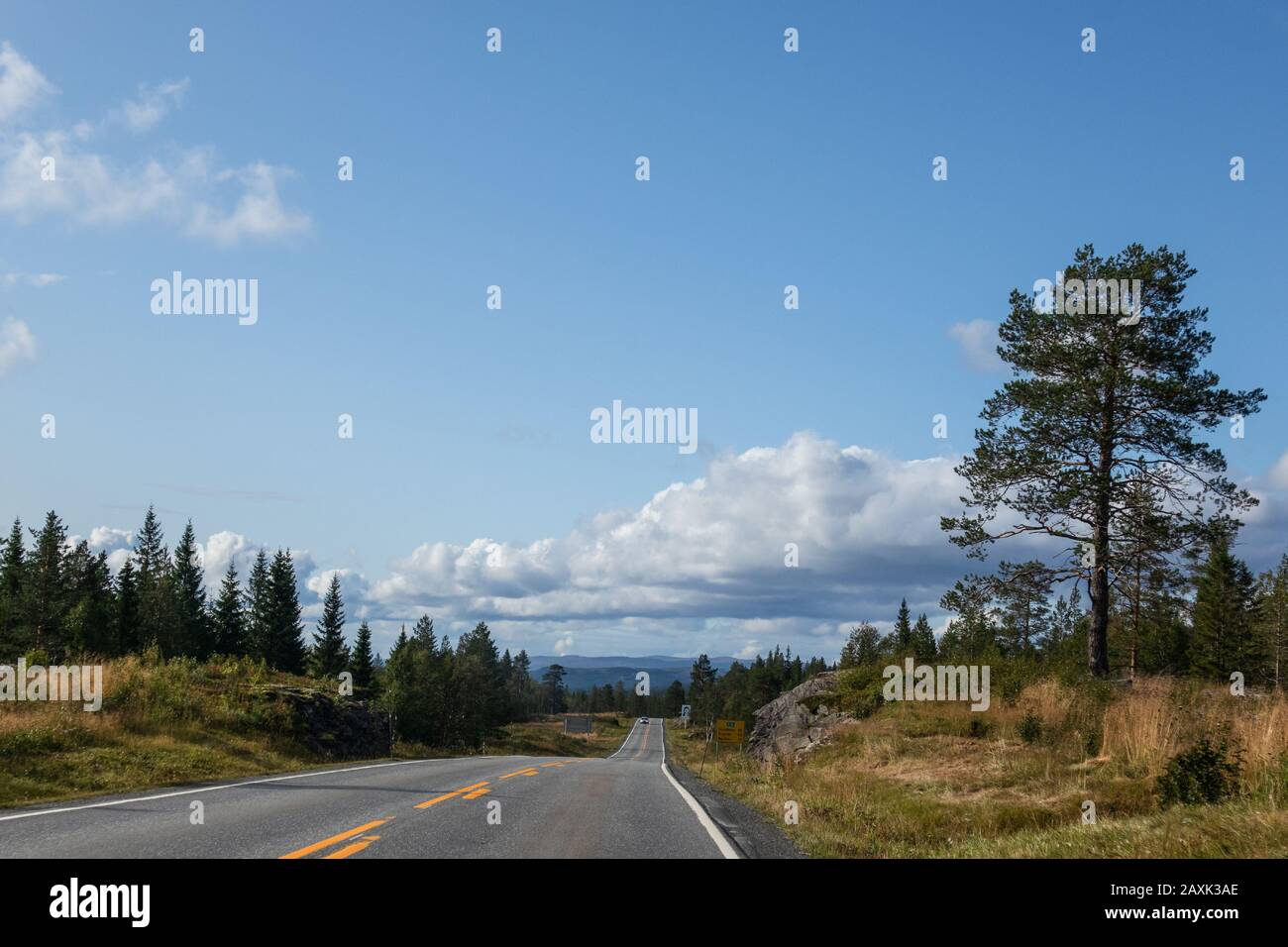 Sunny scandinavia day road travel. Swedish natural landscape with ...