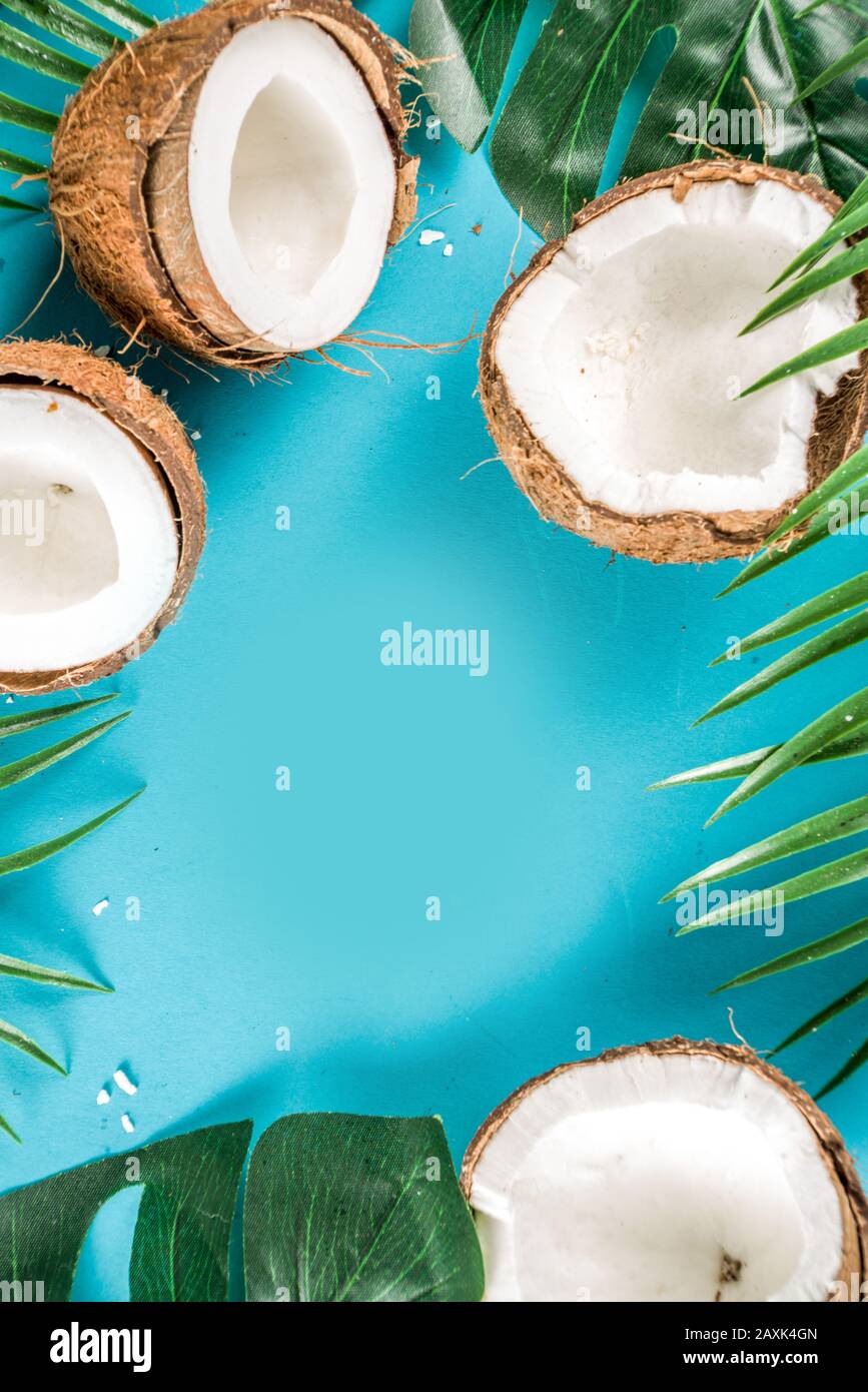 Tropical summer background with tropical palm leaves and coconuts ...