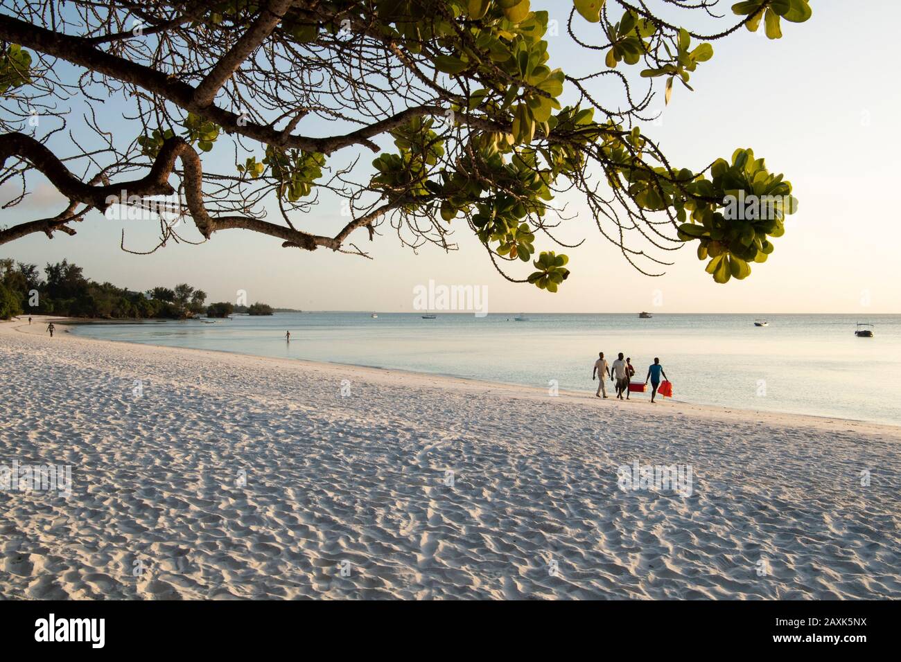 Beach, Pemba Island, Zanzibar Archipelago, Tanzania Stock Photo - Alamy
