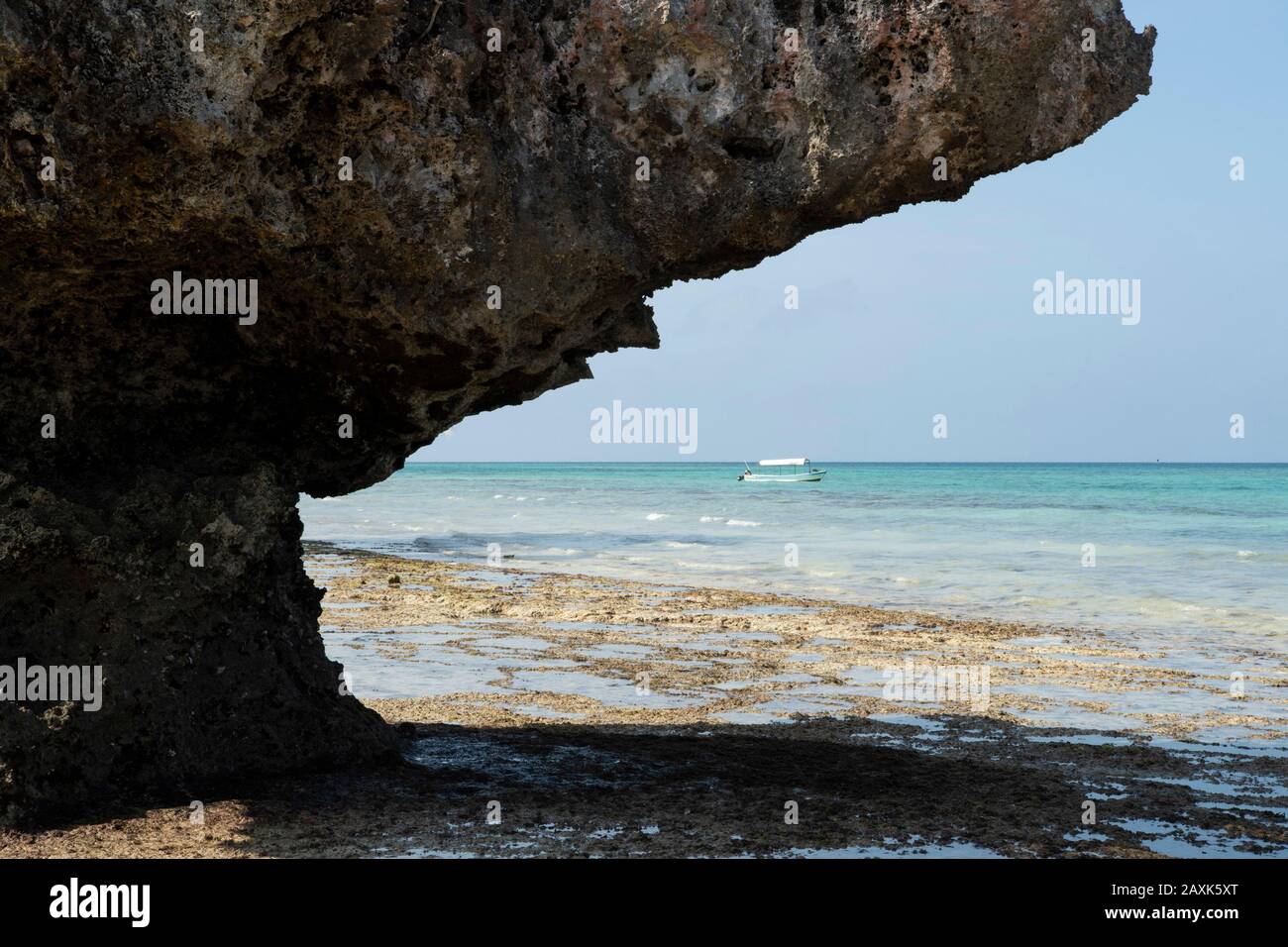 Coral outcrop, Pemba Island, Zanzibar Archipelago, Tanzania Stock Photo ...