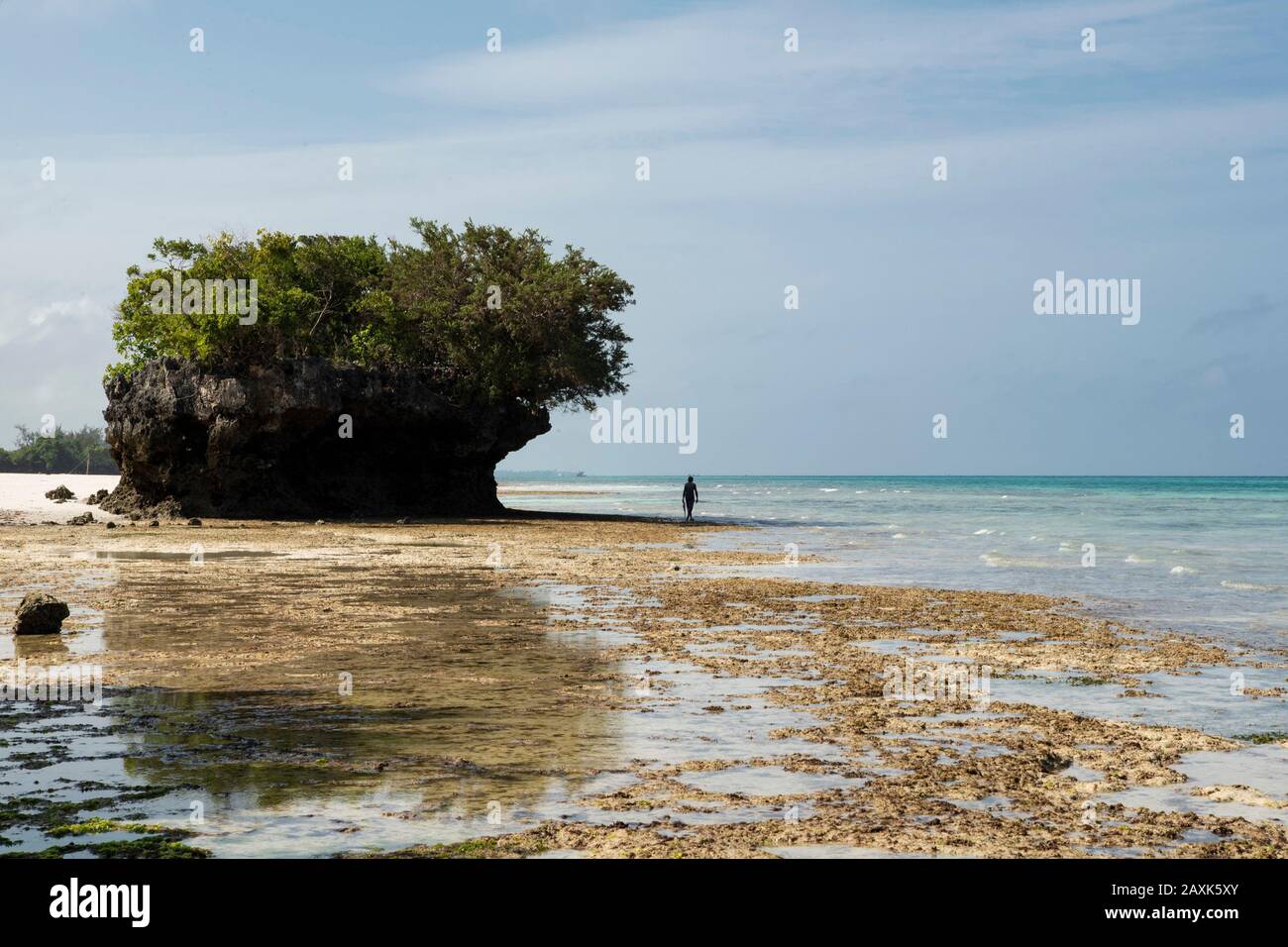 Coral outcrop, Pemba Island, Zanzibar Archipelago, Tanzania Stock Photo - Alamy