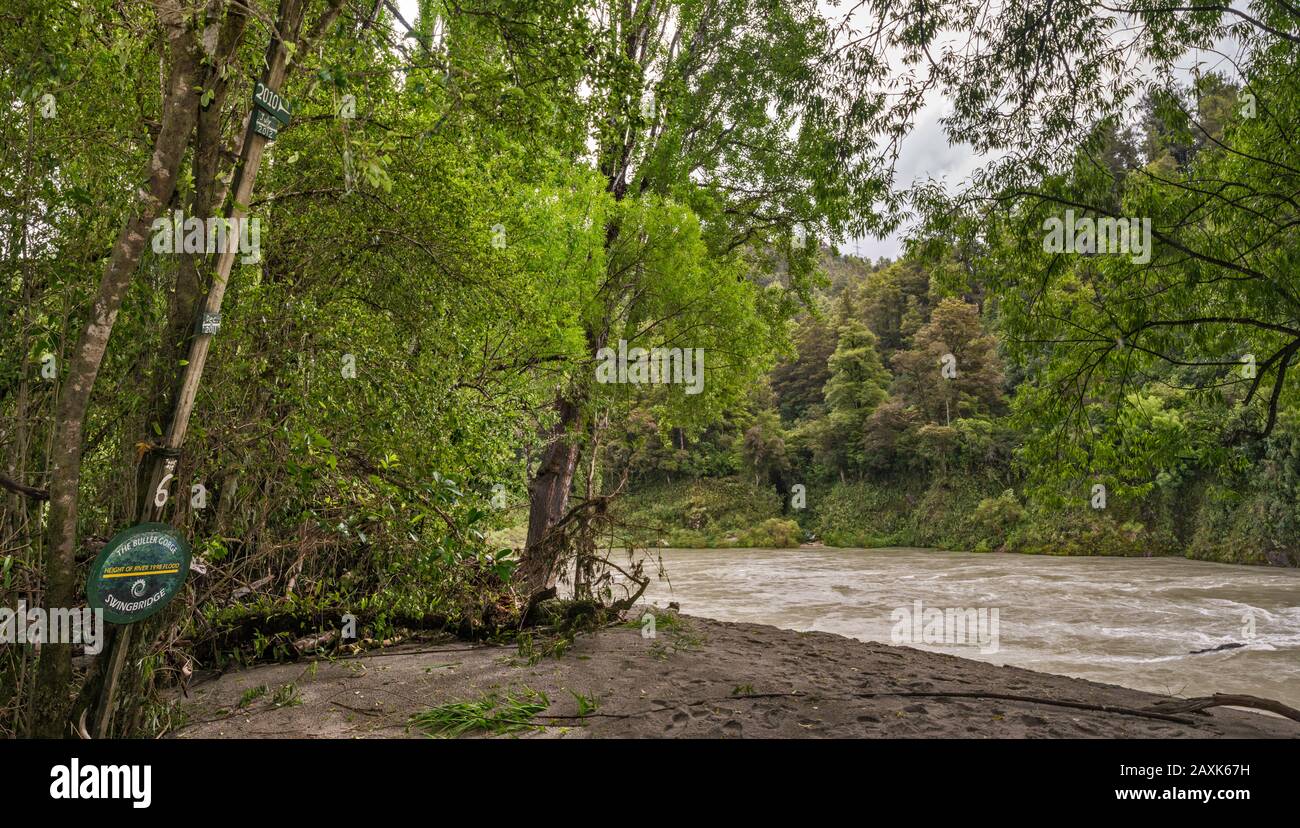Historical flood water level signs at Buller River, trail near Swing ...