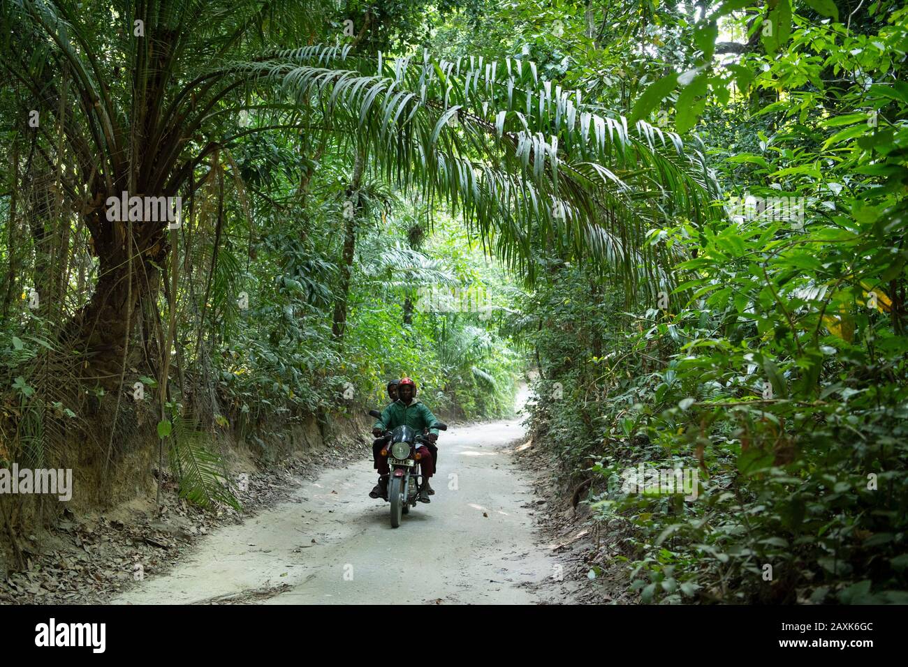 Boda boda or motorcycle taxi driving through Ngezi Forest Reserve ...