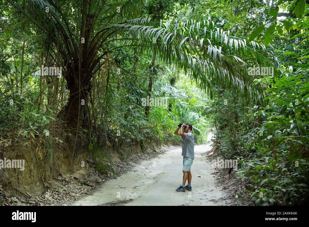 Bird watching in Ngezi Forest Reserve, Pemba Island, Zanzibar ...