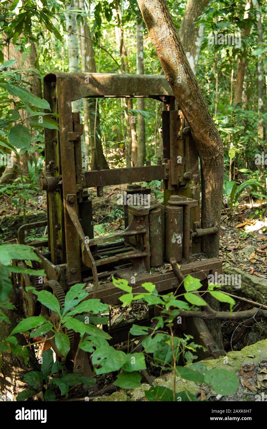 Joshi Remnants, remnant of colonial saw mill, Ngezi Forest Reserve ...
