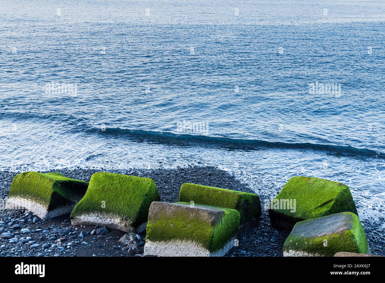Green algae covered concrete blocks on a stony beach in Playa San Juan ...