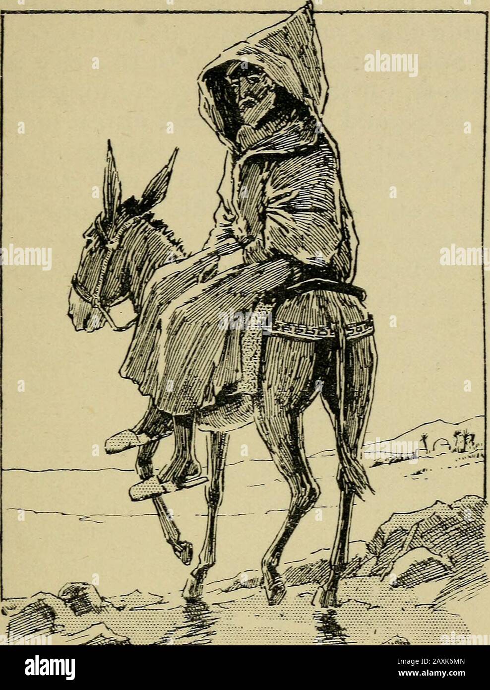 Donkey drawn carts hi-res stock photography and images - Alamy