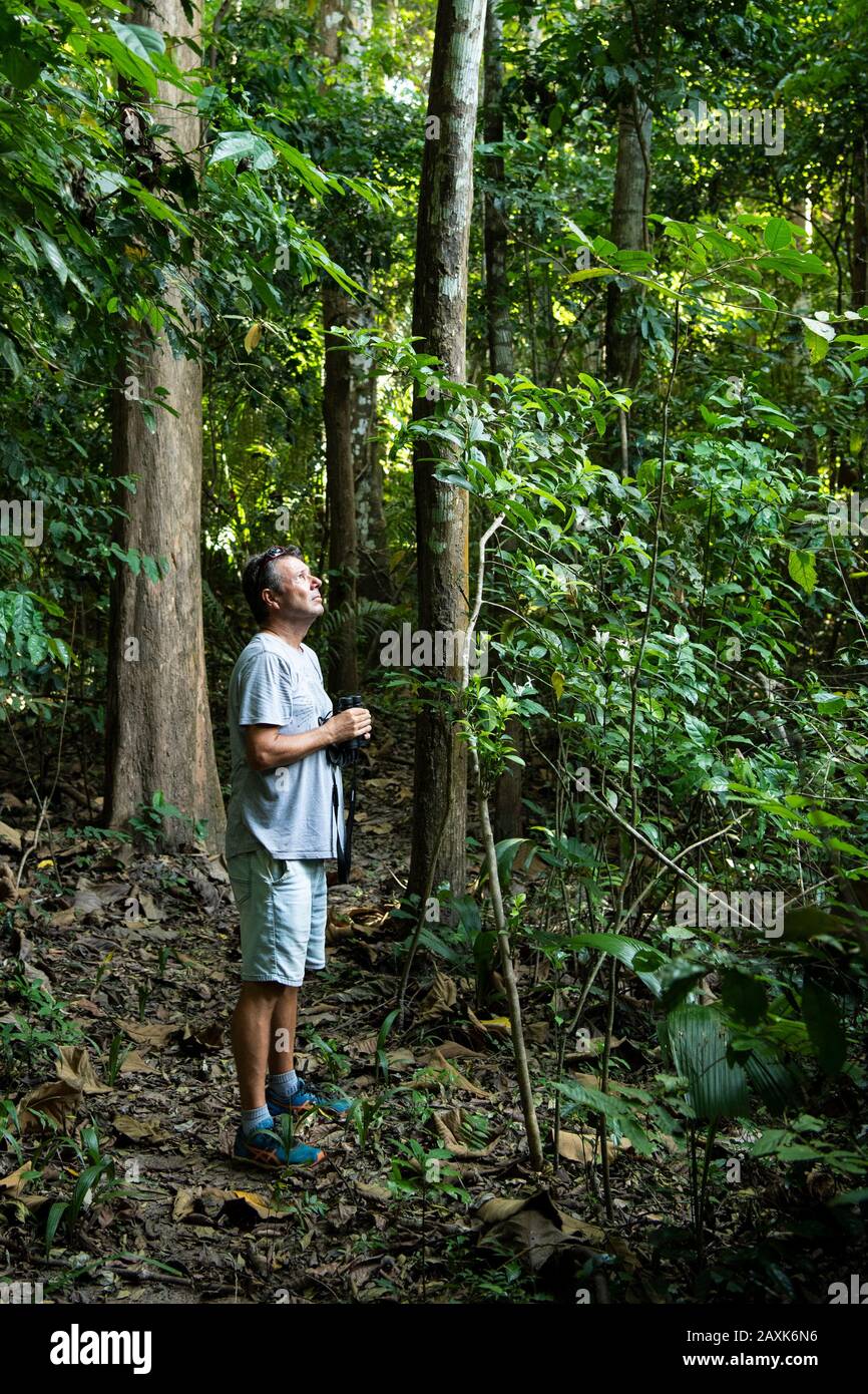 Bird watching in Ngezi Forest Reserve, Pemba Island, Zanzibar ...