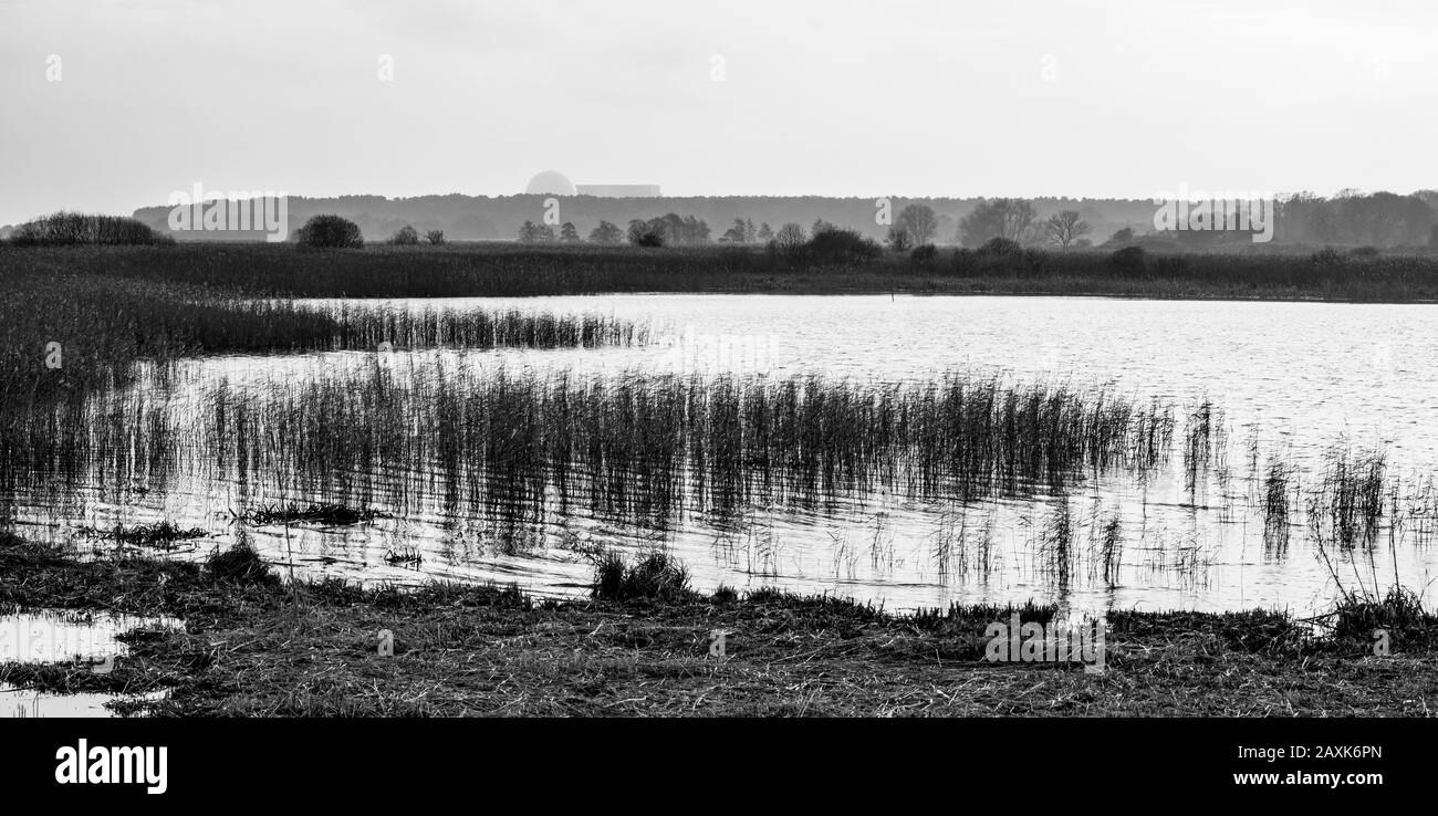Pressurized water reactor pwr Black and White Stock Photos & Images - Alamy