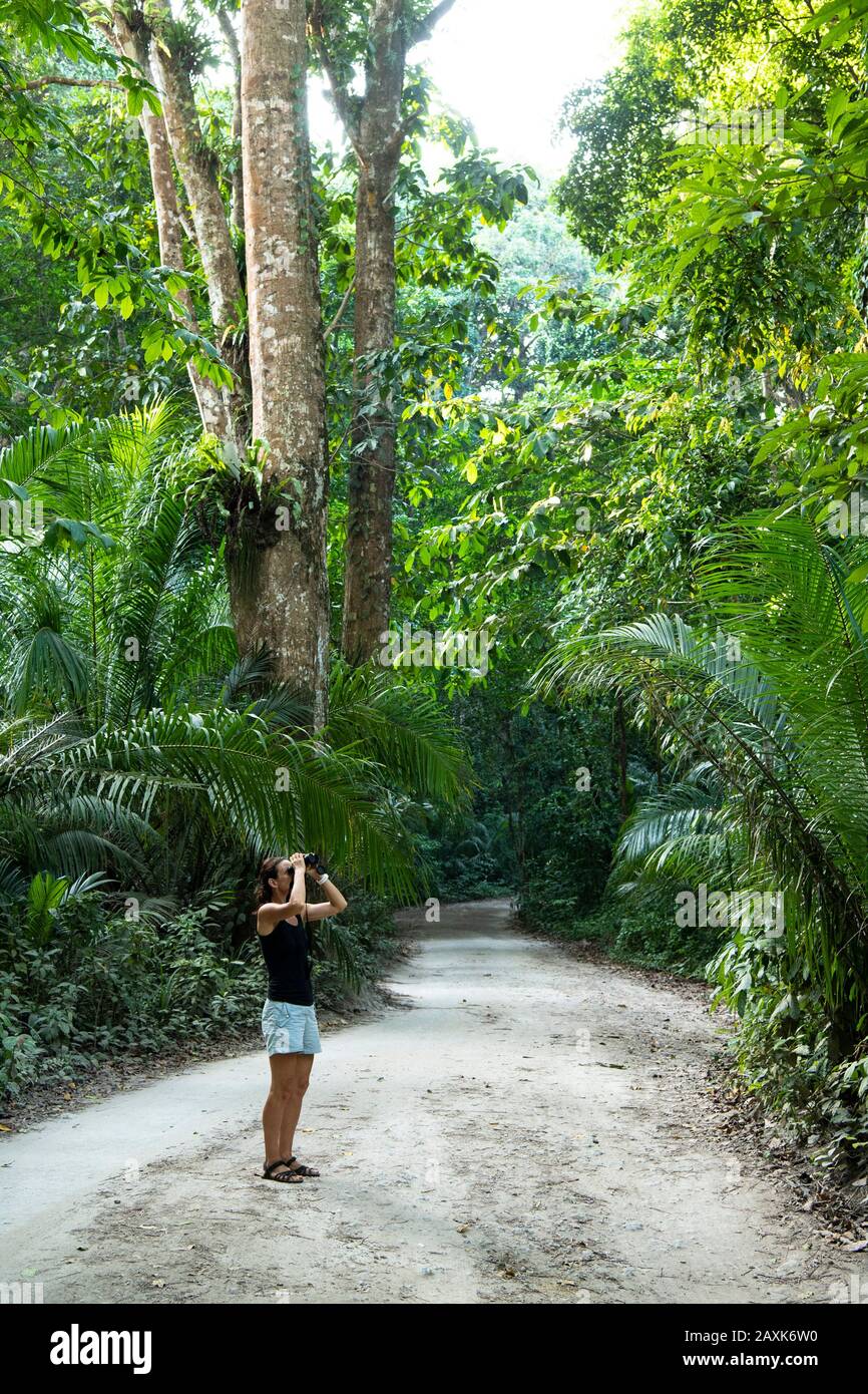 Bird watching in Ngezi Forest Reserve, Pemba Island, Zanzibar ...