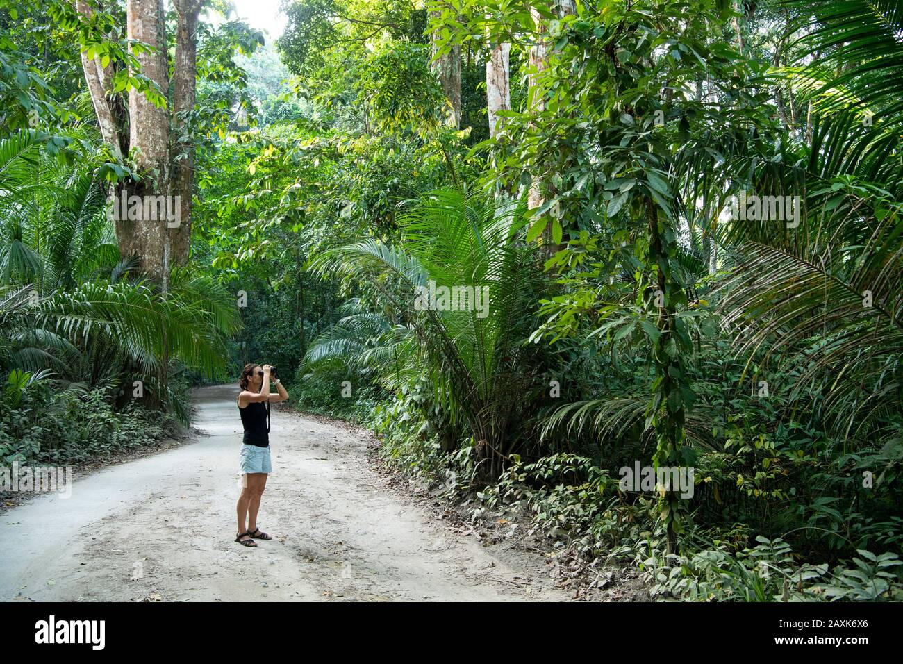 Bird watching in Ngezi Forest Reserve, Pemba Island, Zanzibar ...
