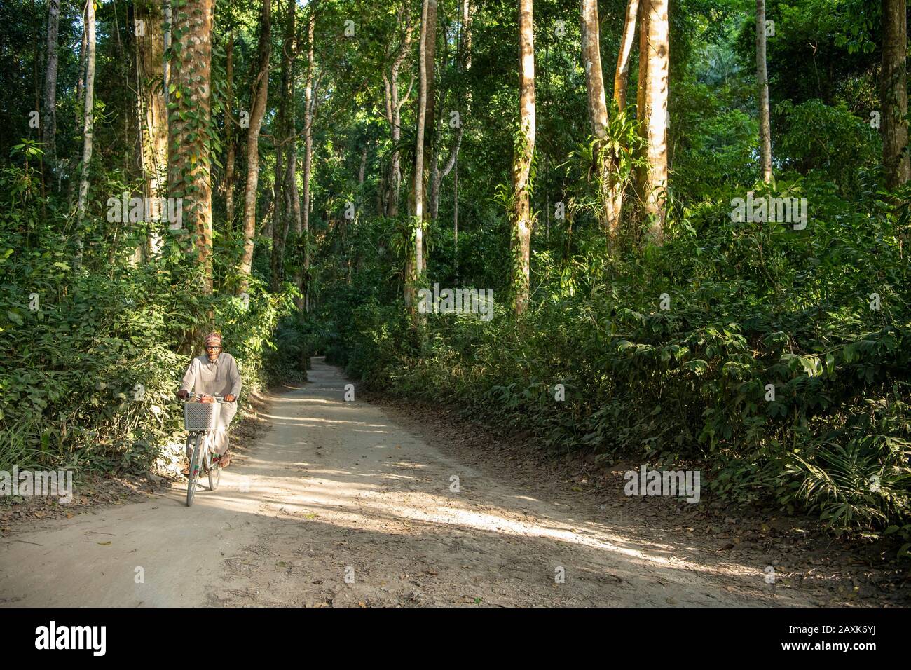 Swahili man cycling through the forest, Ngezi Forest Reserve, Pemba ...