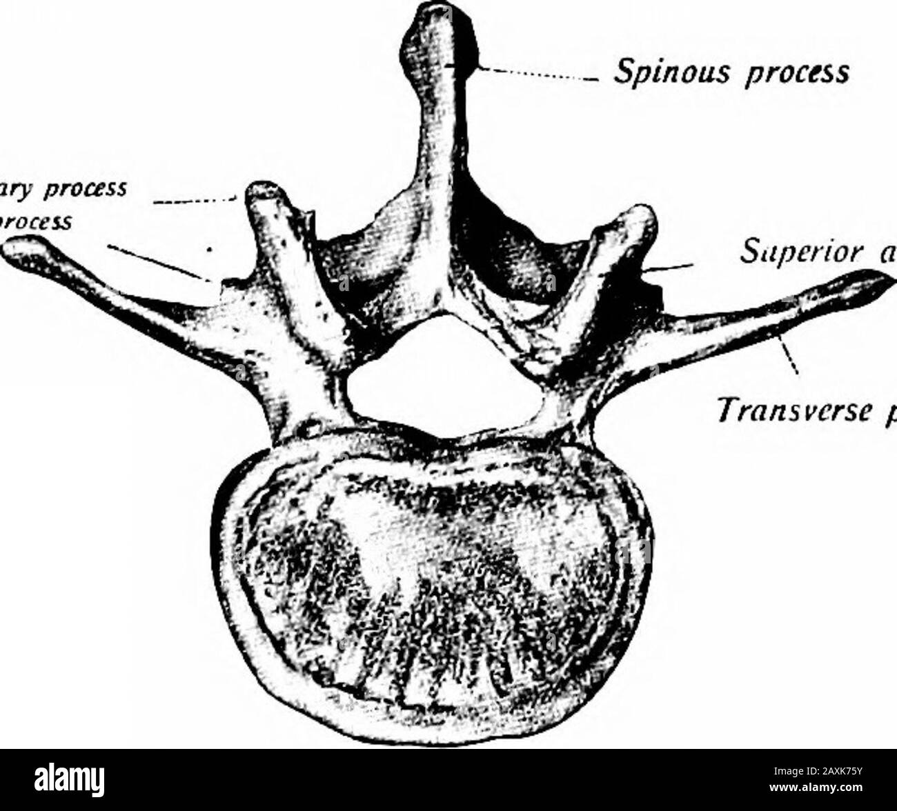 Concave arches Black and White Stock Photos & Images - Alamy