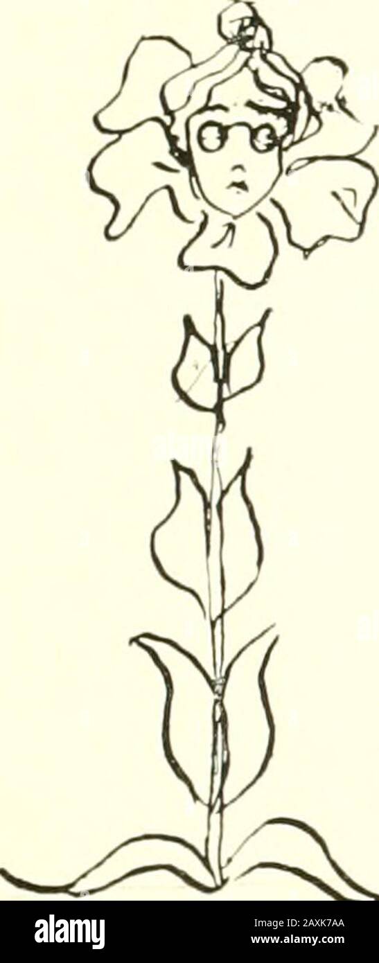 Miss primrose hi-res stock photography and images - Alamy