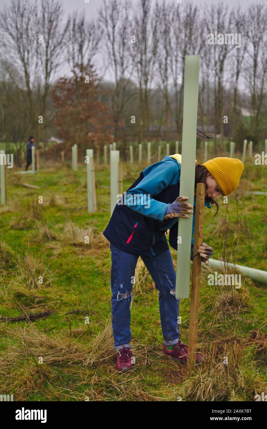 Child planting trees uk hi-res stock photography and images - Alamy