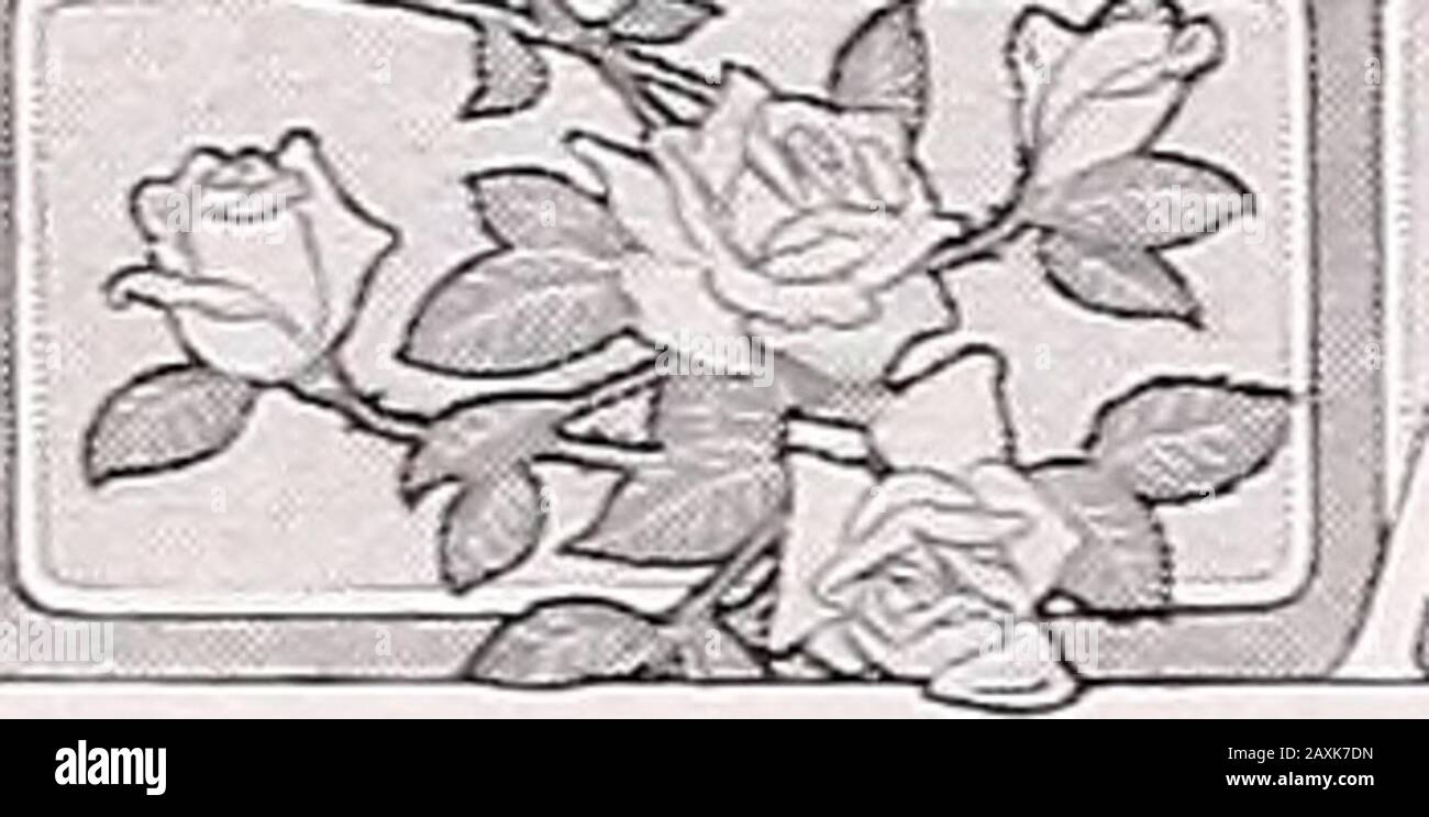 Armstrong Nurseries . TAXUS HIBERNICAIrish Yew SEQUOIA PENDULA Weeping ...