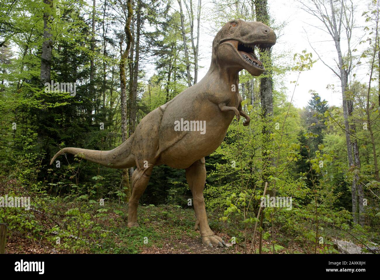 Saurier hi-res stock photography and images - Alamy