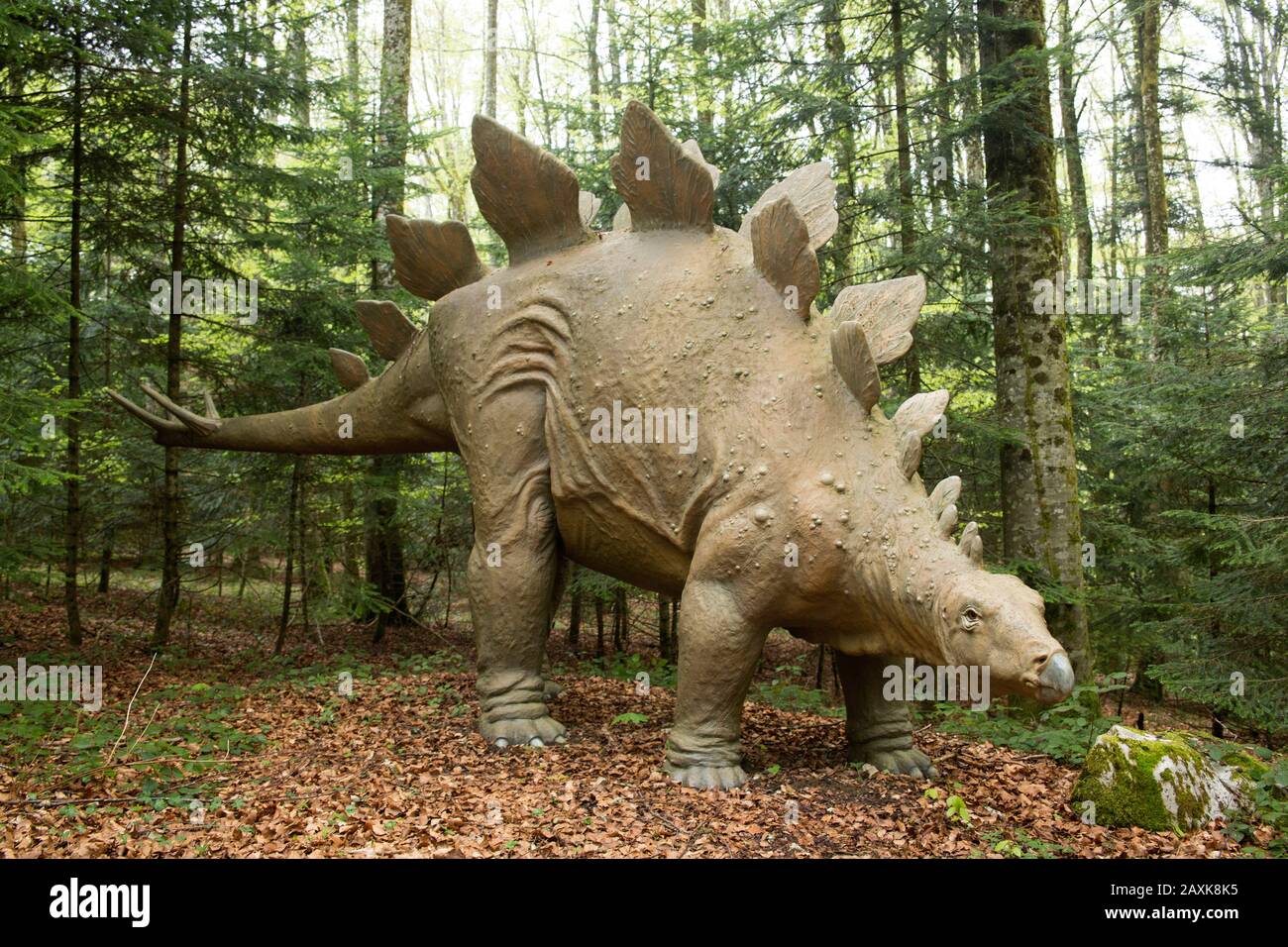 Saurier hi-res stock photography and images - Alamy