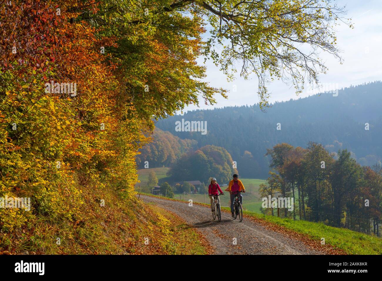 Velofahrer im Seetal Stock Photo - Alamy