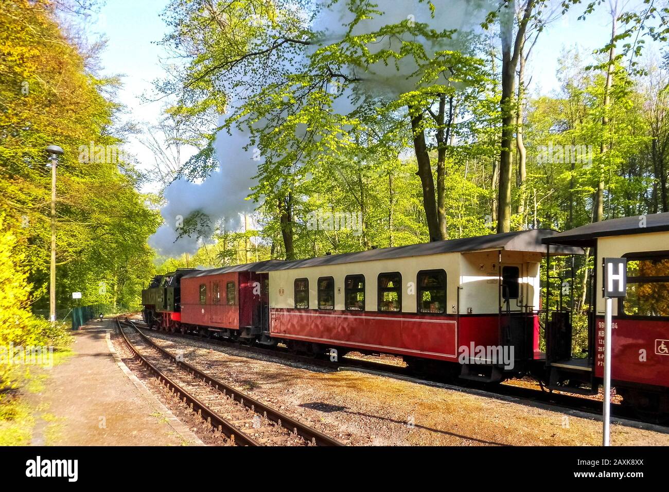 Molli Train, Heiligendamm, Bad Doberan, Germany Stock Photo - Alamy