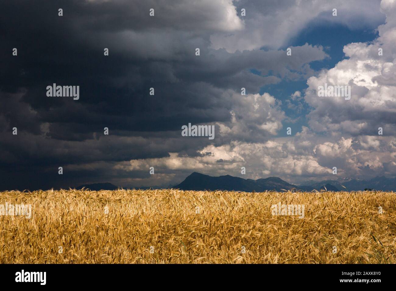 Nottwil hi-res stock photography and images - Alamy