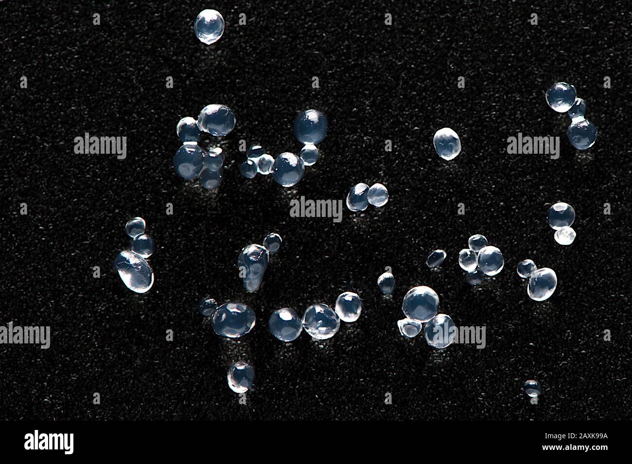 Algal balls hi-res stock photography and images - Alamy