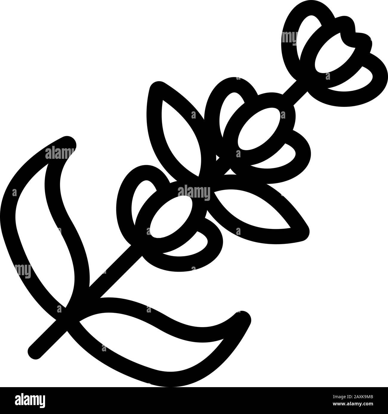 Lavender flower icon vector. Isolated contour symbol illustration Stock ...