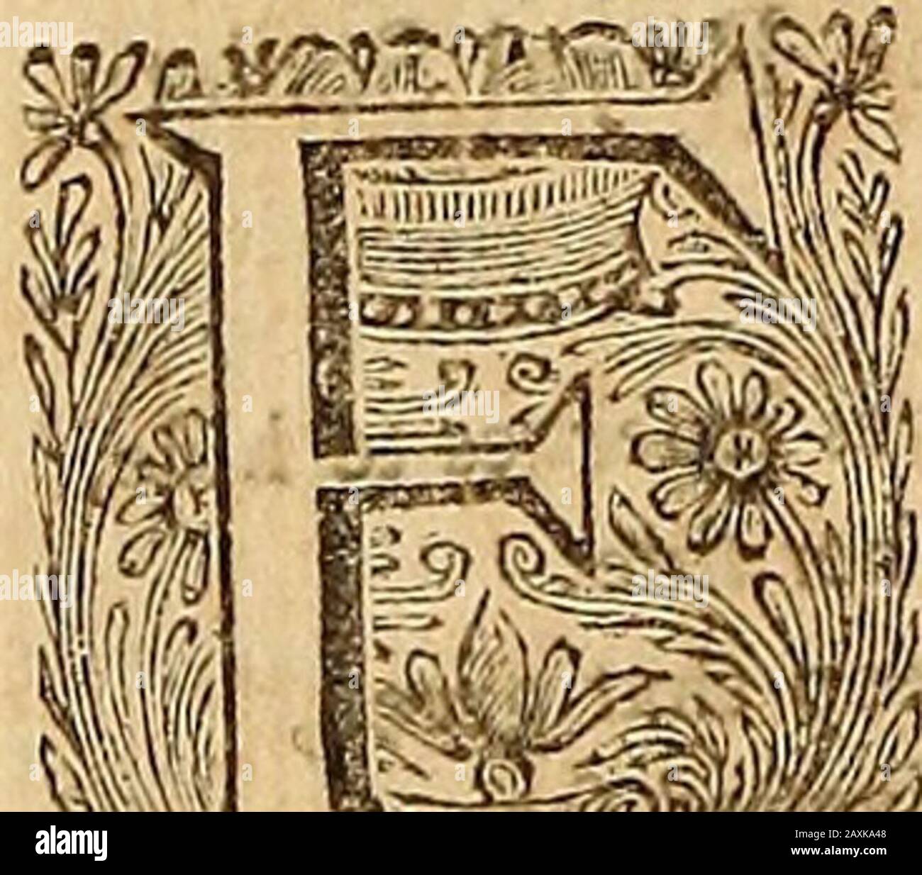 Tas de branches hi-res stock photography and images - Alamy