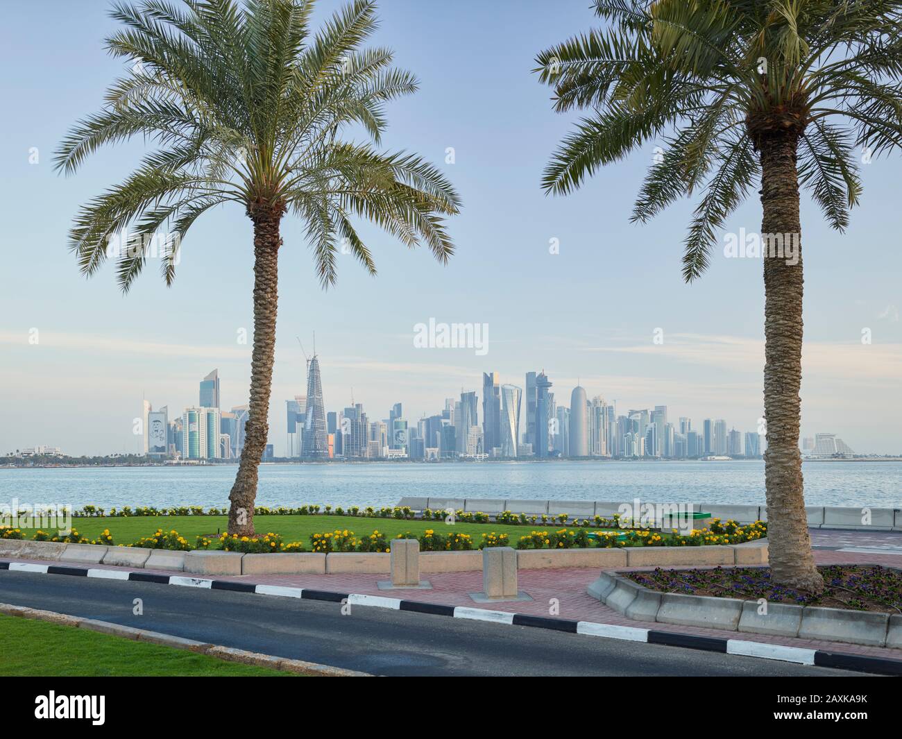Palm trees at Corniche Promenade, West Bay, Doha, Qatar Stock Photo - Alamy
