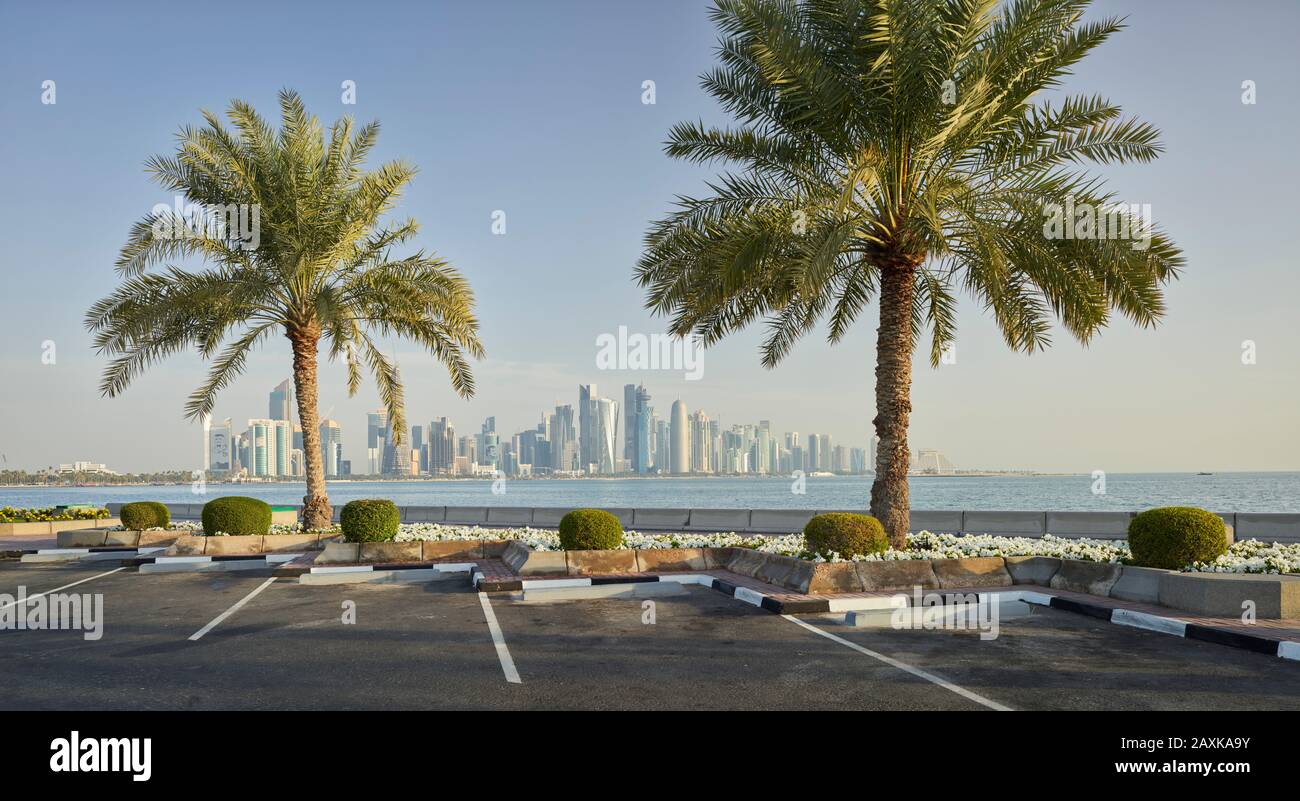 Palm trees at Corniche Promenade, West Bay, Doha, Qatar Stock Photo - Alamy
