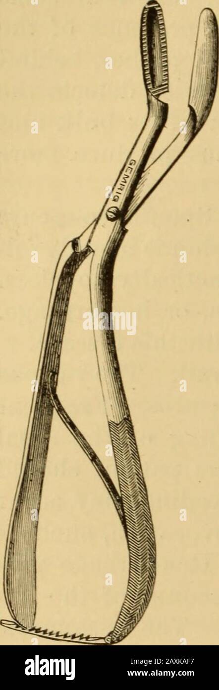 Brocas convolution hi-res stock photography and images - Alamy