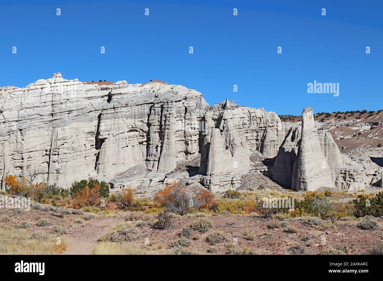Eroded rock formations and vegetation at Plaza Blanca or The White ...