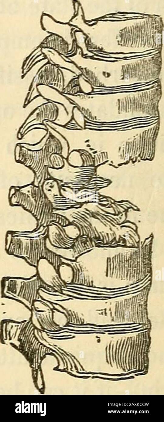 Practical observations on the prevention, causes, and treatment of ...