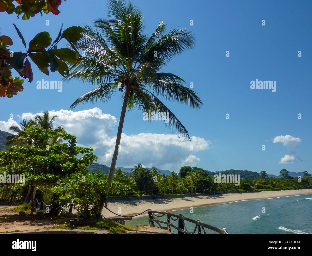 Tropical coast view with a palm tree, beach and stones in south China ...