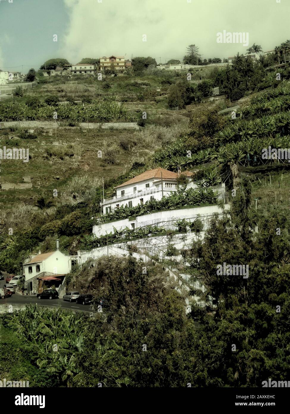 Madeira architecture built into the landscape of Funchal, Madeira ...