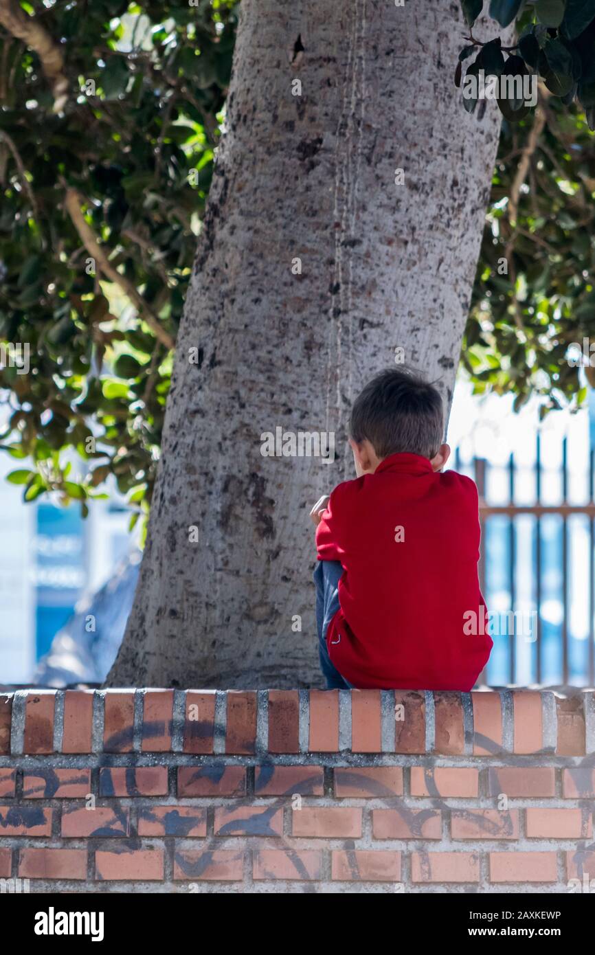 Child alone in a schoolyard with jersey red and a tree Stock Photo - Alamy