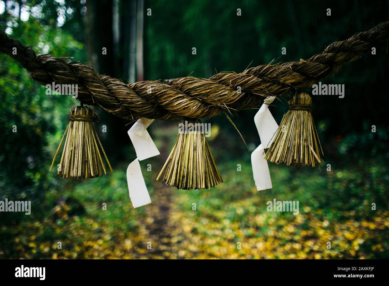 Close up of rope at a Japanese shrine Stock Photo - Alamy