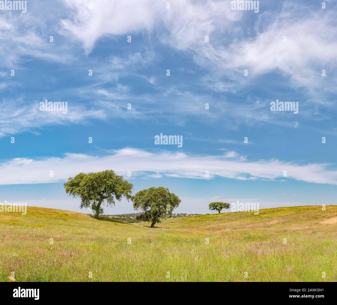 Roling in field hi-res stock photography and images - Alamy
